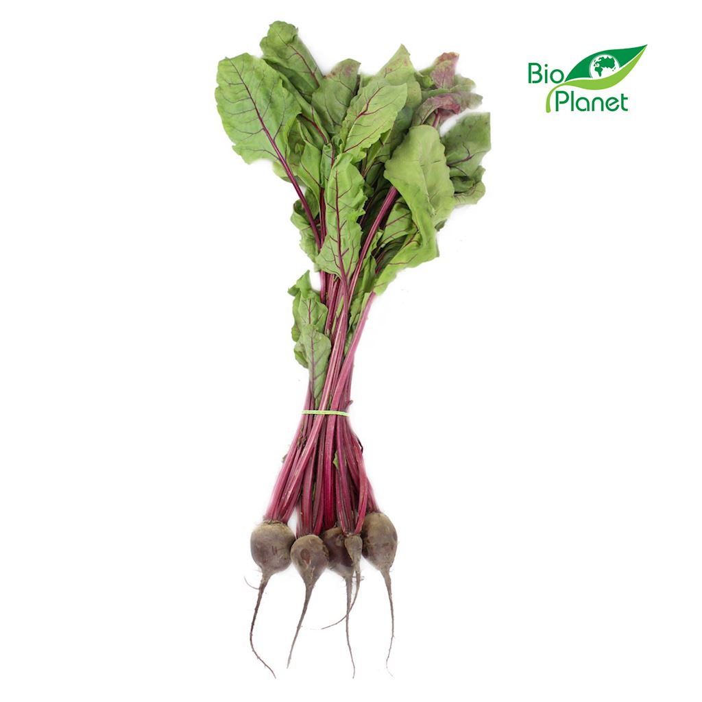 BOTWINA ŚWIEŻA BIO (POLSKA) (pęczek około 0,20 kg) Szczegoly produktu ... BOTWINA ŚWIEŻA BIO (POLSKA) (pęczek około 0,20 kg) Szczegoly produktu ...